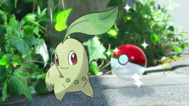 Pokémon Go: Neuer Community Day mit Endivie, dem Pflanzen-Pokémon