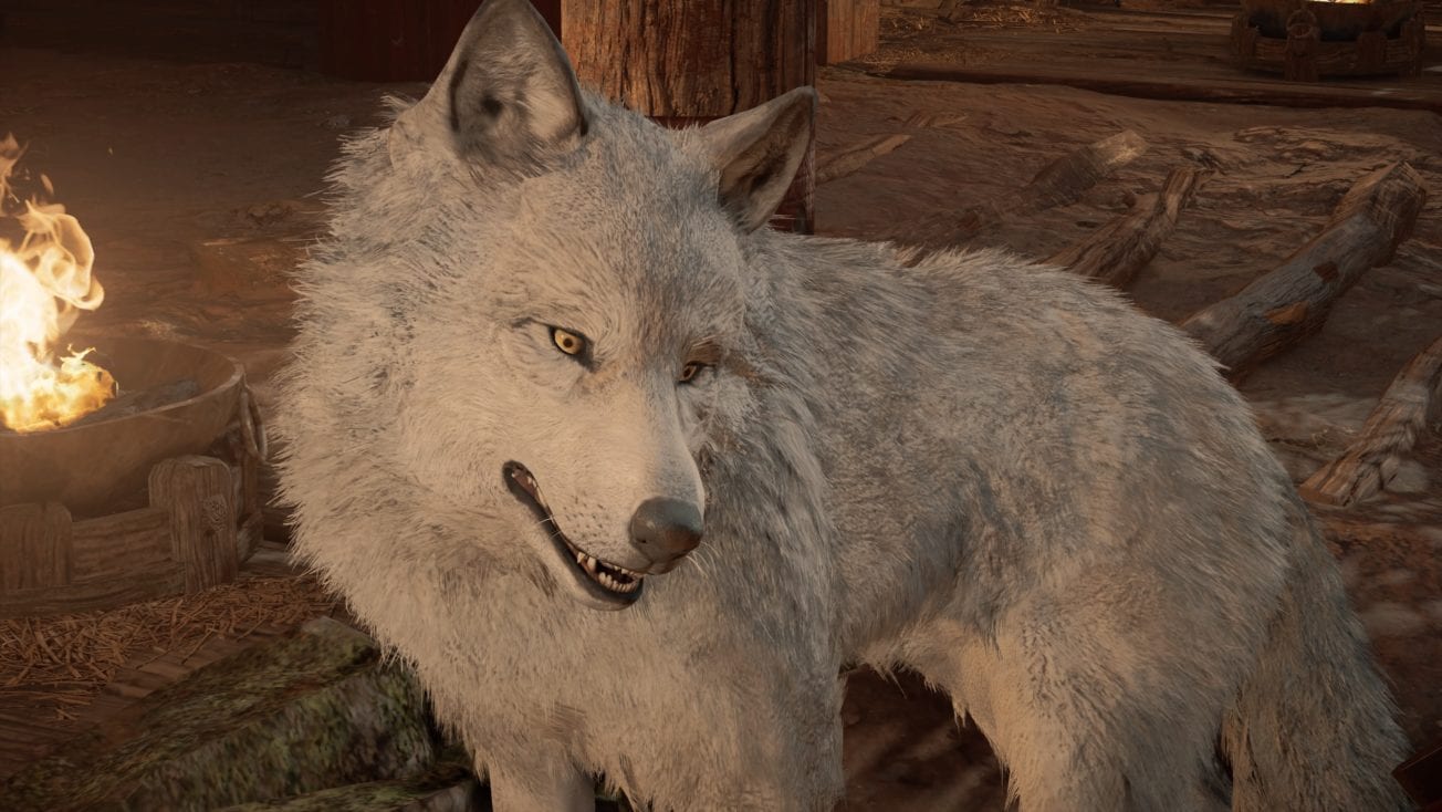 Assassin's Creed Valhalla: So bekommt ihr einen Wolf als Begleiter - Guide