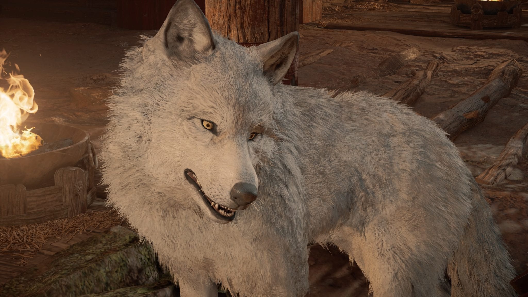 Assassin's Creed Valhalla: So bekommt ihr einen Wolf als Begleiter - Guide