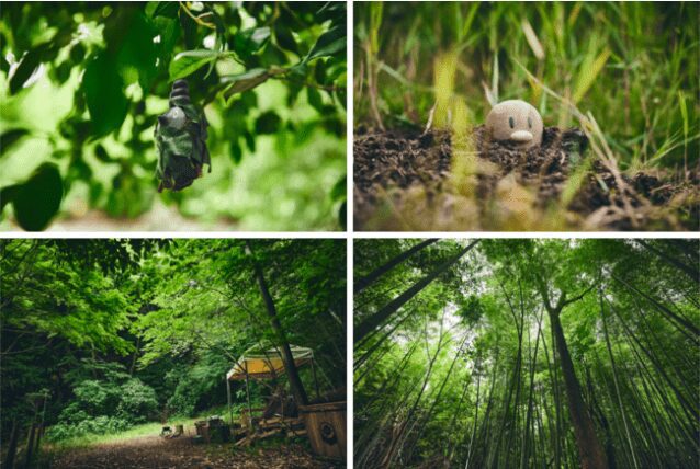 Pokémon Wonder: Freizeitpark rückt Natur in den Fokus