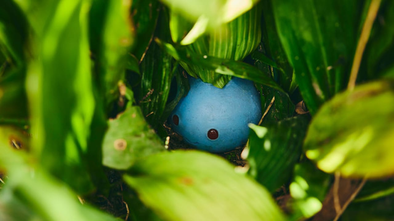 Pokémon Wonder: Freizeitpark rückt Natur in den Fokus