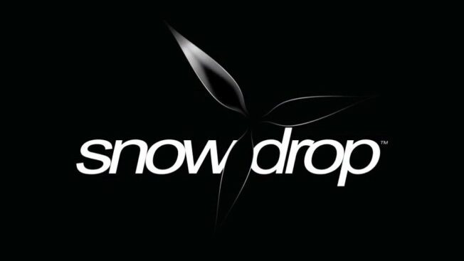 Snowdrop Engine: Ubisofts V12-Motor für Videospiele