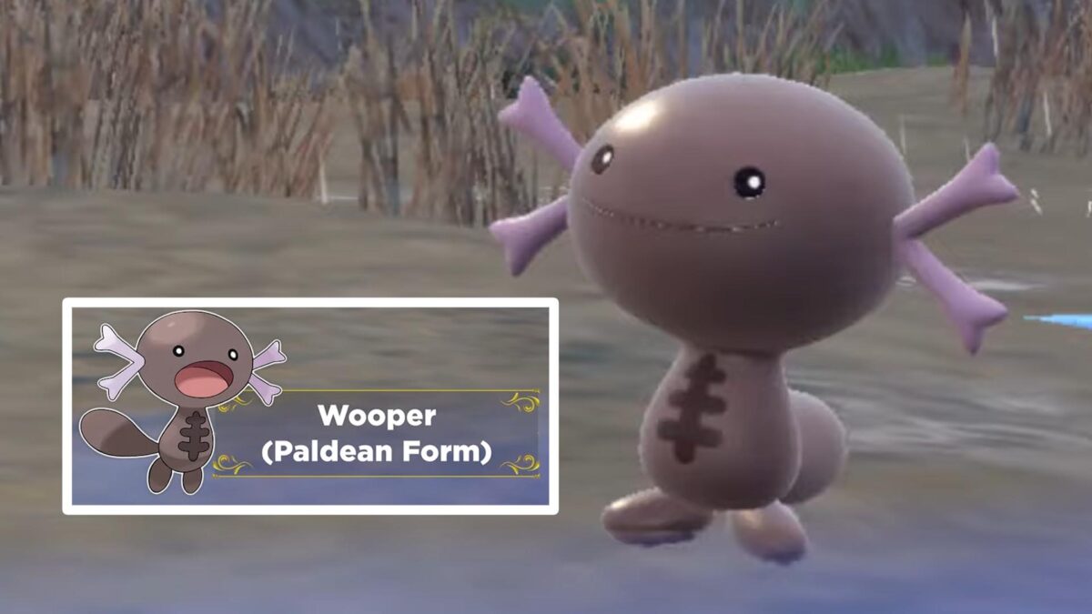 Pokémon bekommen neue Paldean-Form in Pokémon Karmesin & Purpur