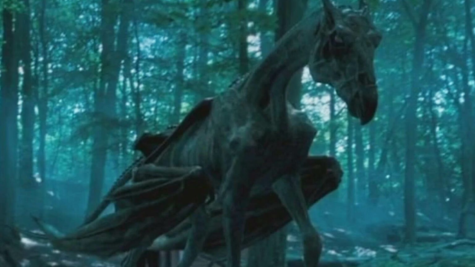 Thestral als Reittier: Fliegendes Pferd freischalten in Hogwarts Legacy