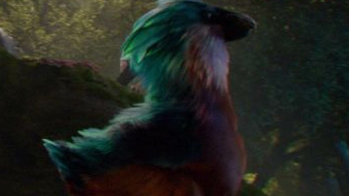 Diricawl fangen in Hogwarts Legacy - Fundorte und Fangtechnik