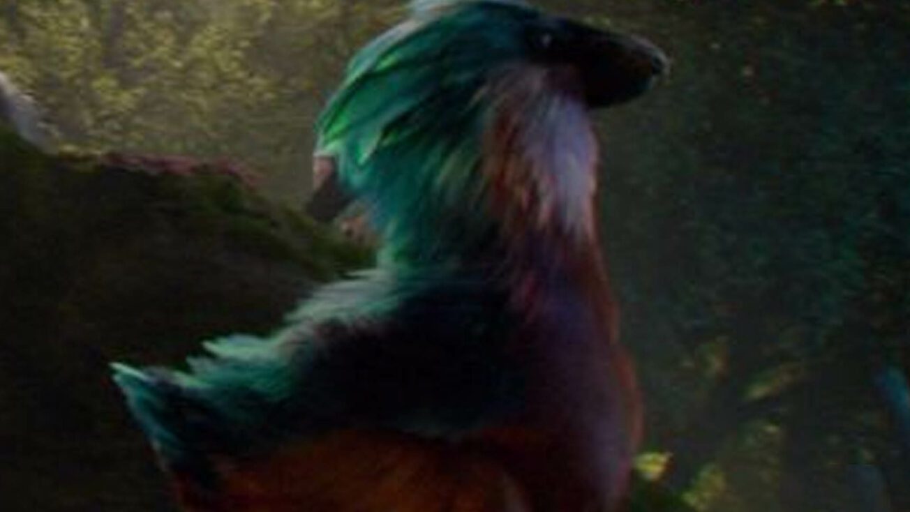 Diricawl fangen in Hogwarts Legacy - Fundorte und Fangtechnik