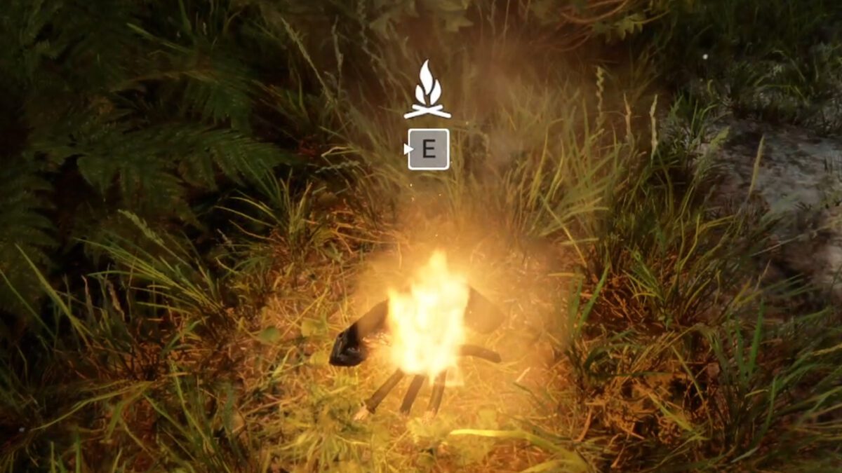 Wie mache ich Feuer in Sons of the Forest?