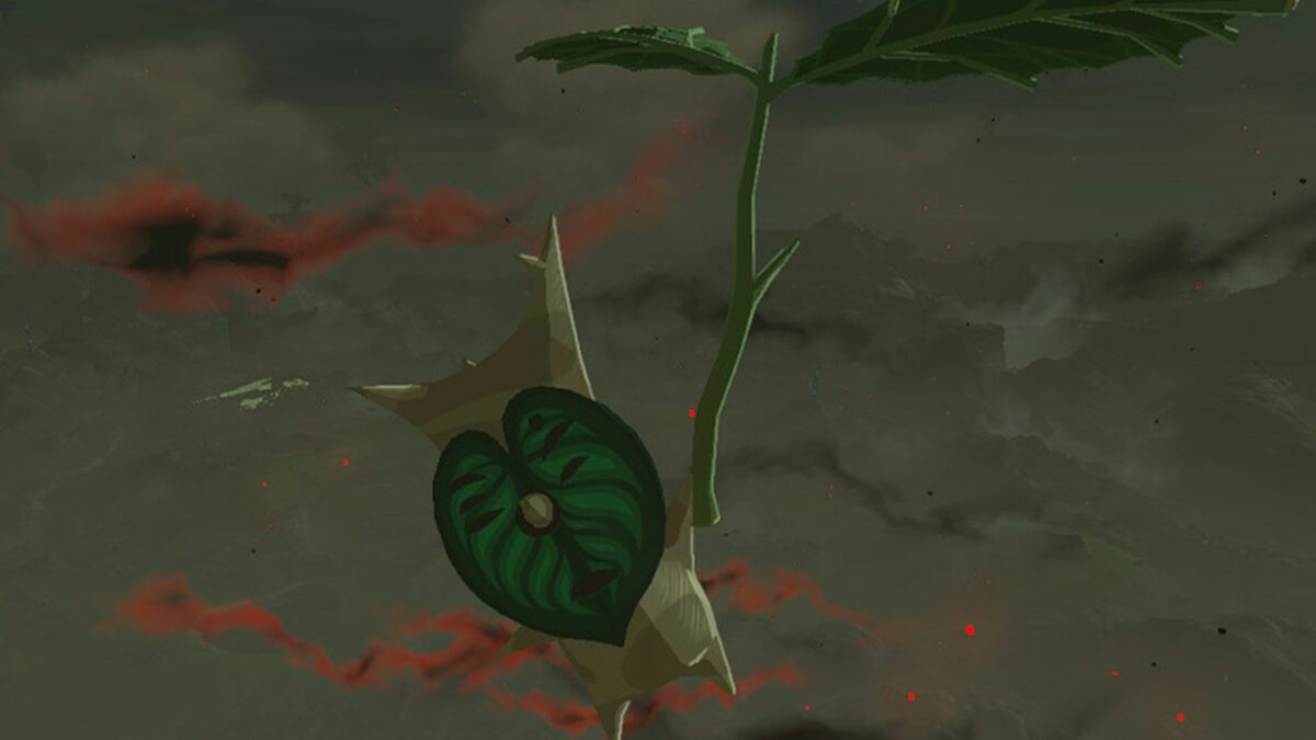 Alle Krog-Samen im Schloss von Hyrule - Tears of the Kingdom