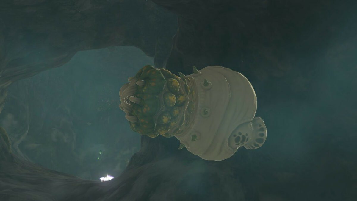 Komplettes Schneesturm-Set: Rüstung finden in Zelda Tears of the Kingdom