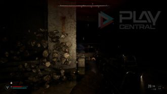Stalker 2: Wie besiege ich einen Poltergeist?