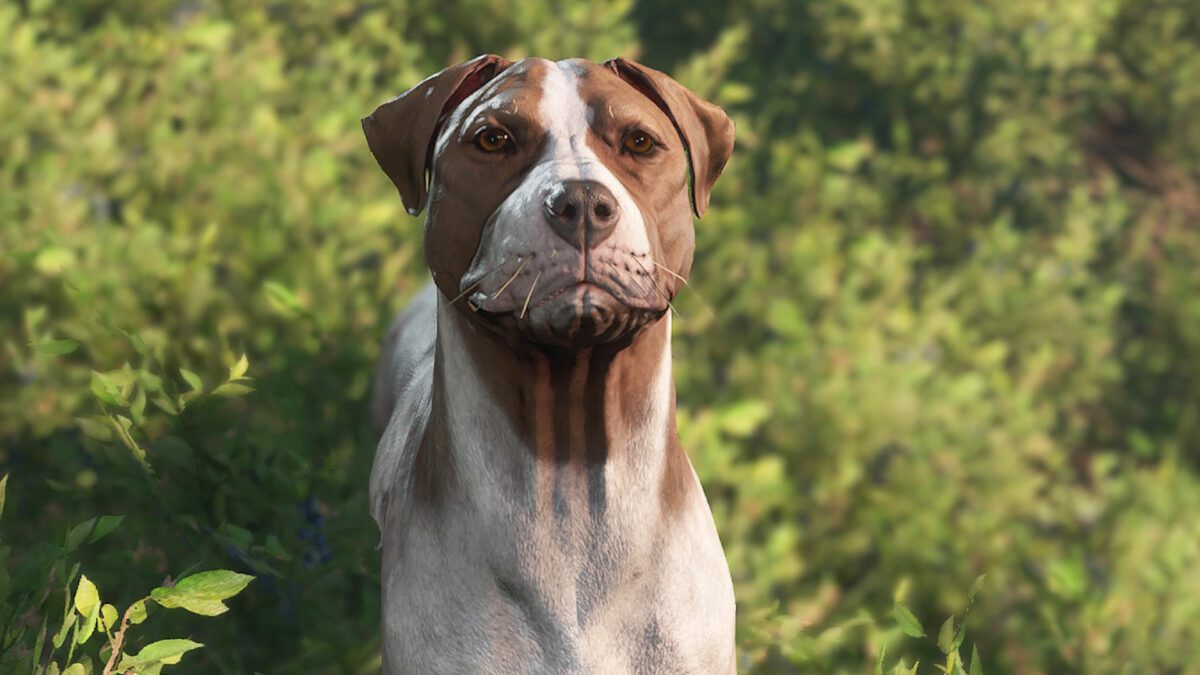 Kingdom Come Deliverance 2: Nebenquest Köter - So bekommt Heinrich ...